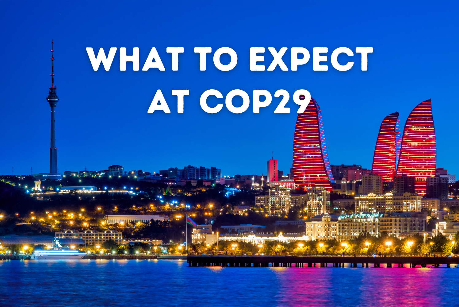 COP29: What to Expect from the Pivotal Climate Summit in Baku ...